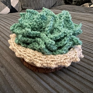 Crochet Succulent Coaster Pattern - Etsy