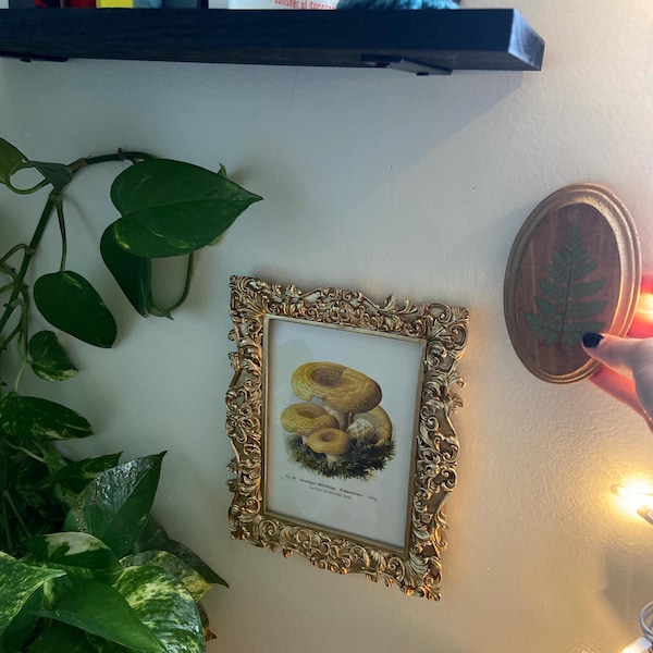 Mini Forest Fern Wall Art | Botanical Fern Wall Hanging | Pressed ...