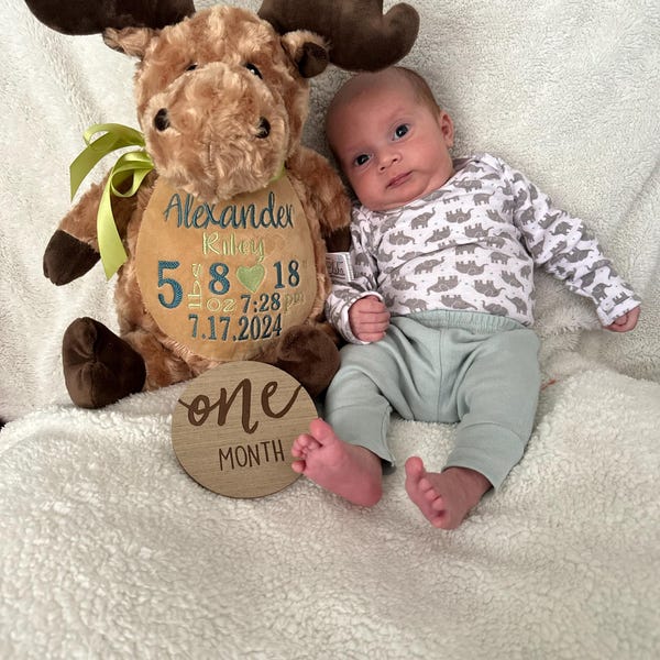 Personalized Birth Stats Stuffed Animal, New Baby Gift, Personalized ...
