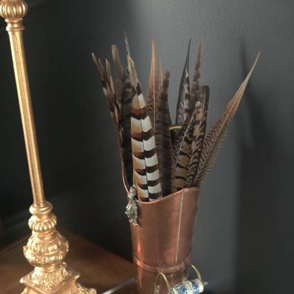 Natural Ostrich Wing Plumes per 5 Feathers - Etsy