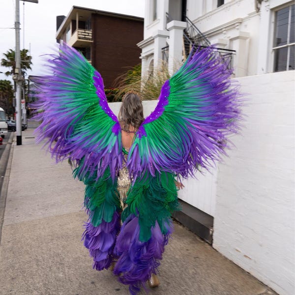 Colourful Carnival Costumes Women - Extra Large Rainbow Wings Cosplay ...