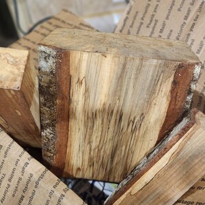 Tulip Poplar Bowl Wood Turning - Etsy