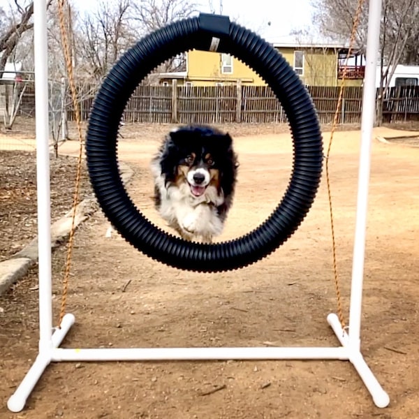 Dog Agility Equipment - Weave Pole Guide Wires for 6 Weave Poles - 4 ...