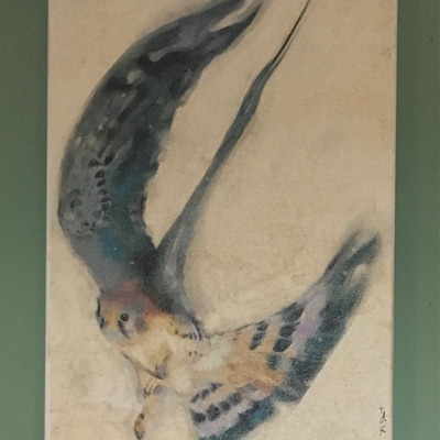 Hawk Art Print, Hawk Art, Art Print, Art, Hawk, Bird Painting, Hand ...