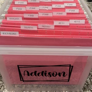 End of Life DIY File Kit Emergency File Kit Caretaker File Kit I'm Dead ...