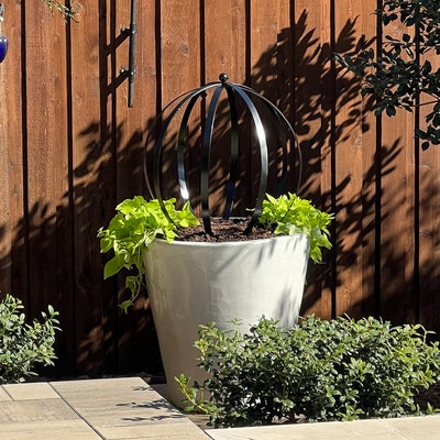 Juniper Fresh Cut Oregon Juniper Box Christmas Wedding - Etsy