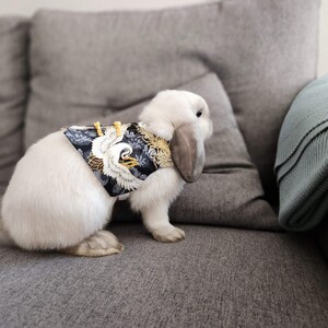 Autumn Ginkgo Wool Short Dress Pet Bunny Dress/harness - Etsy