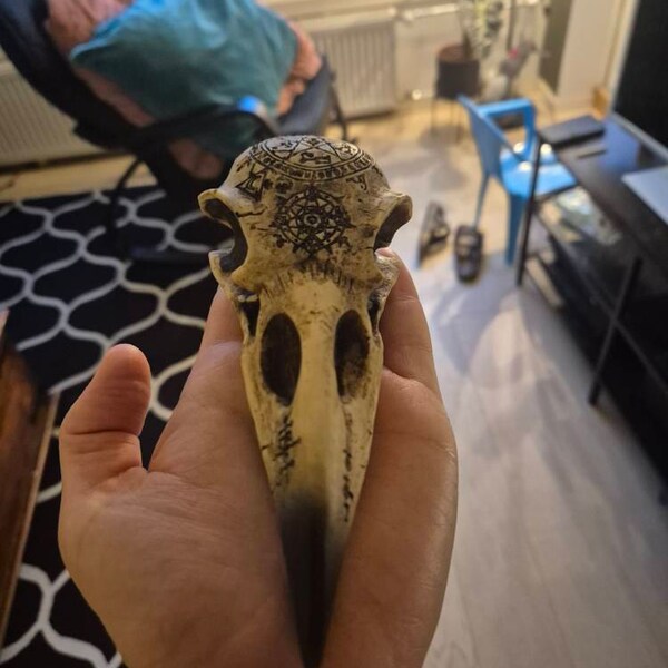 Bronze Raven Skull Brooch, Bird Skull Cameo , Faux Taxidermy, Gothic ...