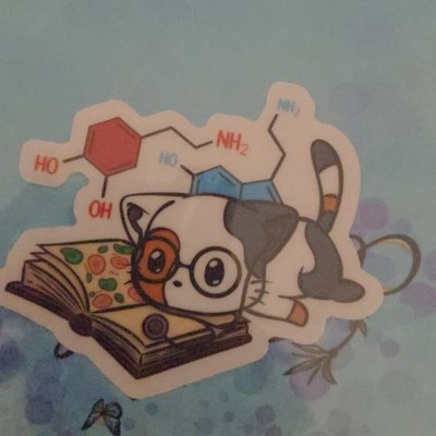 Math Cat Sticker CLEAR Sticker - Etsy