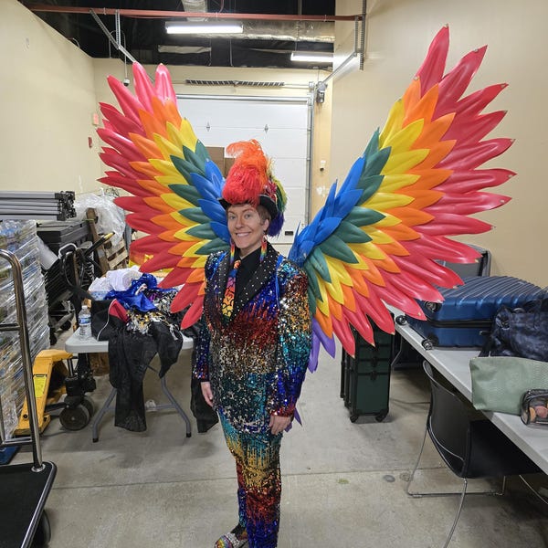Regenbogenflügel, Bunte Flügel, Regenbogenoutfit, Regenbogenkostüm ...