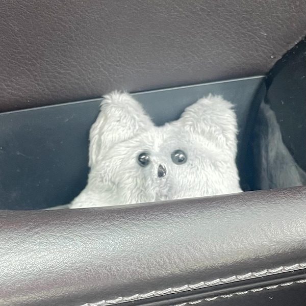 Pocket Rabbit Plush, Anti-stress Worry Pet, Gift for Best Friend ...