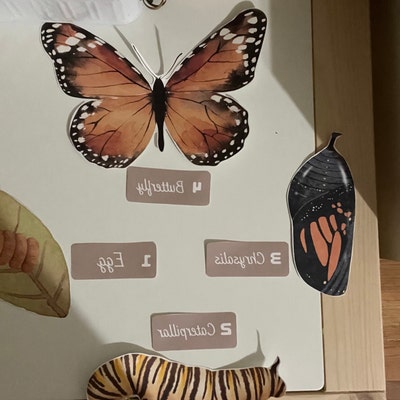 REGGIO Inspired FARM ANIMAL Vocabulary Flashcards Montessori Early ...