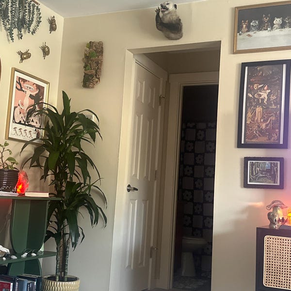 Floating Forest Trio Moss Wall Art, Wall Decor, 3 Cork Bark W ...