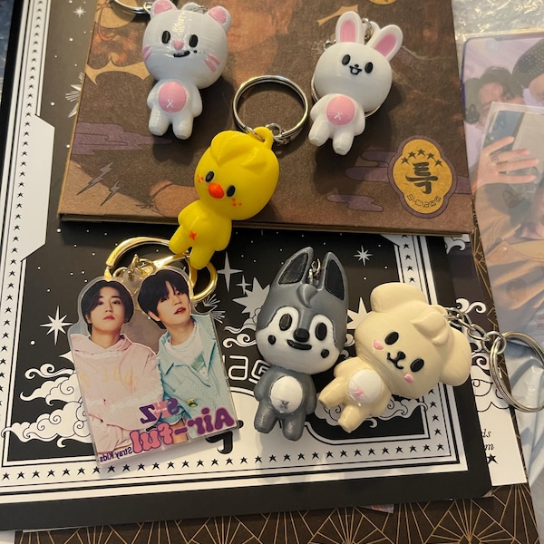 Lee Know Cat Look, Skzoo Clothes, Leebit, Skzoo Outfits, Kpop Doll ...