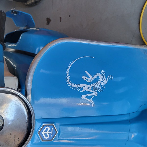 Raptor or Stegosaurus Skeleton Car Decal - Etsy