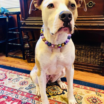 Customized peppermint Patty Pet Necklace - Etsy