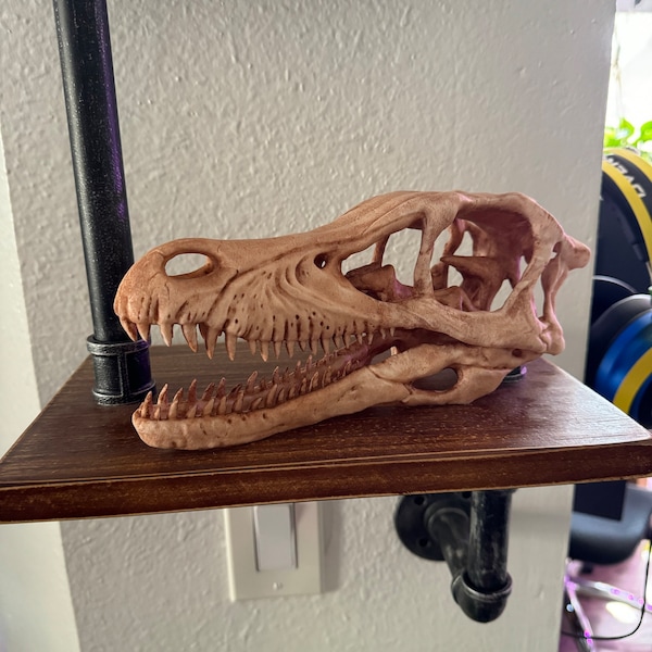 Velociraptor Replica Skull 3D Printed - Etsy