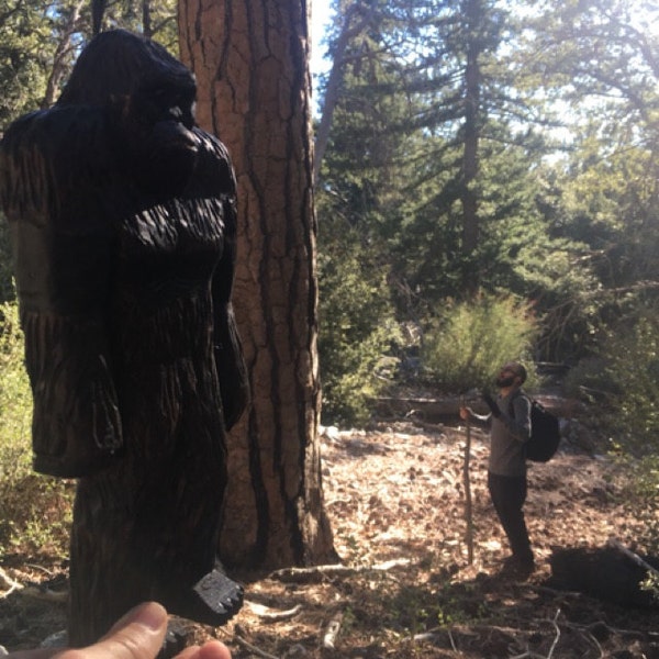The "momo, Missouri Monster or Bigfoot of the Mid-west -aka "the DEWEY ...