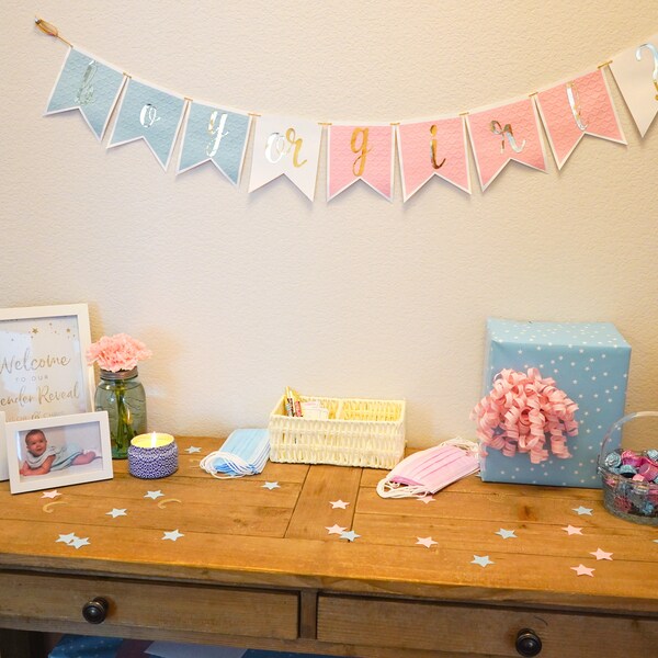 Boy or Girl Gender Reveal Party, Gender Reveal Banner, Pink or Blue, He ...