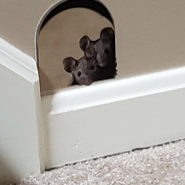 Realistic 3D Mouse Wall Sticker - Etsy