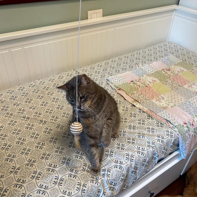 Wooden Dog Step, Pet House With Ramp, Pet Bed With Stair, Small Dog Bed ...