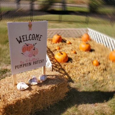 Printable Birthday Party Welcome Sign Our Little Pumpkin Party Pumpkin ...