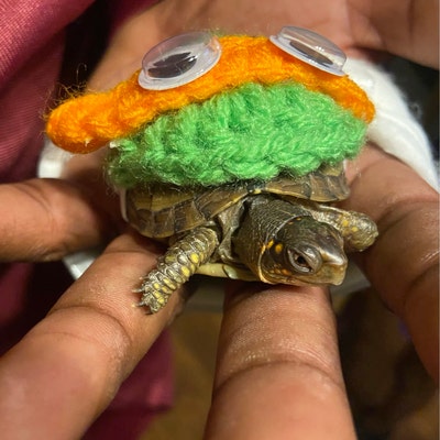 Monster Costume for Turtle/tortoises - Etsy