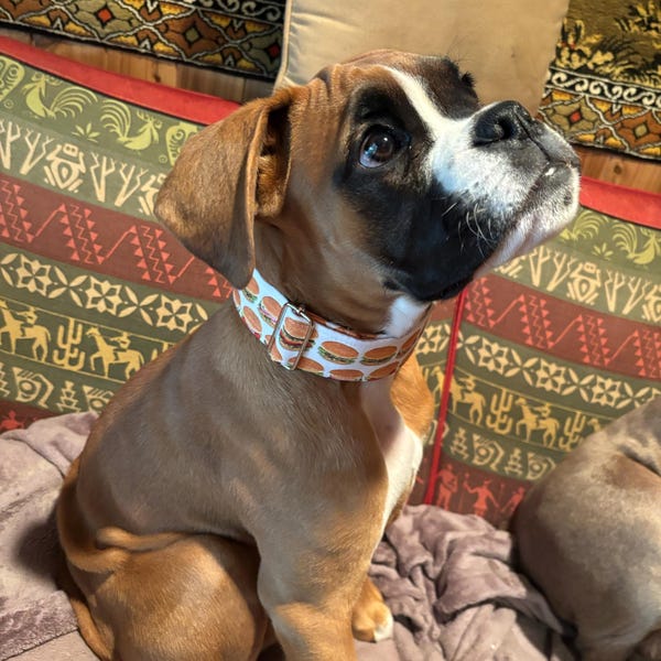 Aztec, 2 Inch Dog Collar, 1 Inch, Wide Dog Collar, Large Dog Collar ...