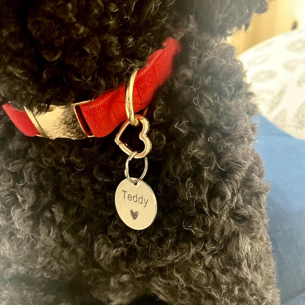 Fall Autumn Acorn and Leaves Pet Tag Dog Tag Cat Tag - Etsy