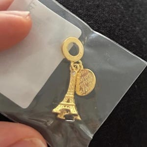 100th Anniversary Cinderella's Enchanted Charm,sliver Bracelet Charms ...