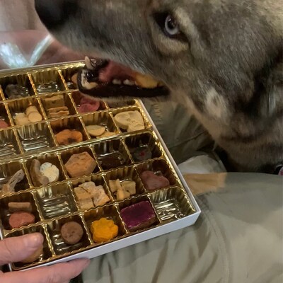 Large Assorted Cookie Box - Etsy