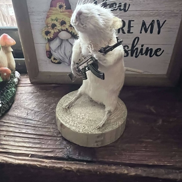 Taxidermy Mouse in Bathtub, Unique, Cute, Novelty, Oddities, Curiosity ...