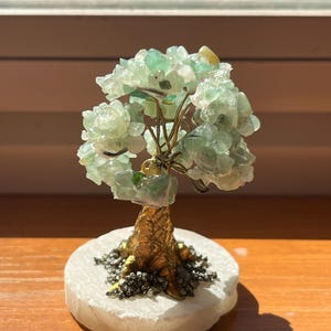 Wooden Shell Tripod Display Stand Hand Carved Base for Abalone Shell ...