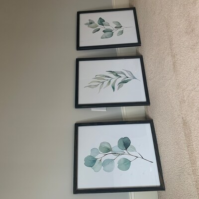 Eucalyptus Prints, Botanical Print Set, Plant Posters, Leaf Prints ...
