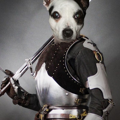 Custom Knight Pet Portrait . Custom Pet Knight Portrait . Classic ...