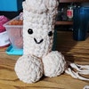 Positive Poo Crochet Pattern, Poop Toilet Theme Crochet, Funny ...