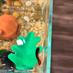 Magnetic Jumping Spider Mantis Staircase - Etsy