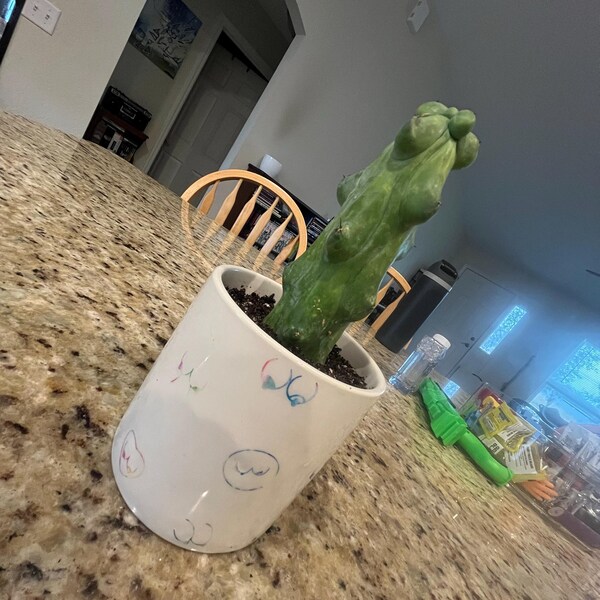 Body Positivity Modern Planter Pot/women or Girl Body Planter ...