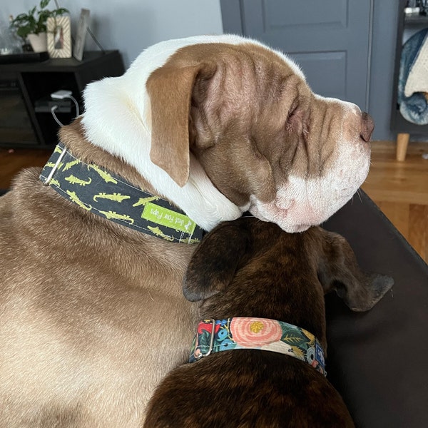 Just Slothin'animal Themed Dog Collar, Sloth Themed Dog Collar, Sloth ...