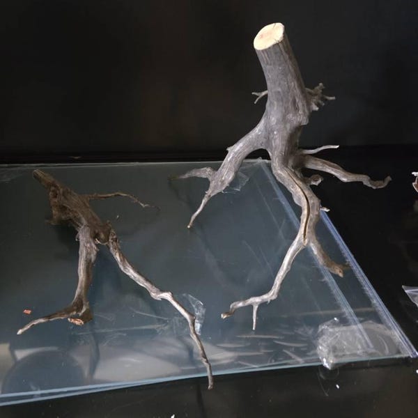 Root Twigs - Etsy