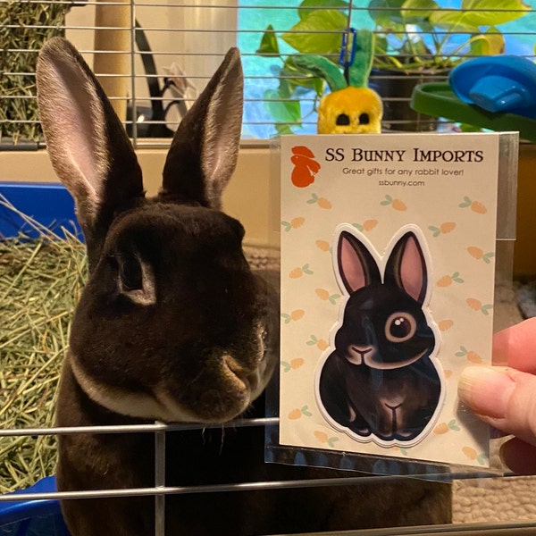 Black Otter Bunny Sticker; Cute Printed Vinyl Rabbit Sticker ...