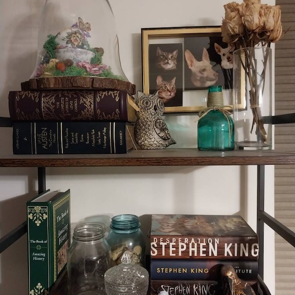 PAIR Giraffe Weevils, Trachelophorus Giraffa PAIRS, Entomology, Real ...