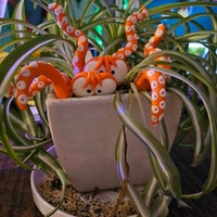 Octopus Plant Pot Decoration.pot Accessory.plant Pet.glow in the Dark ...