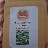 Tromboncino (zucchini Rampicante) Squash Seeds | Heirloom | Organic - Etsy