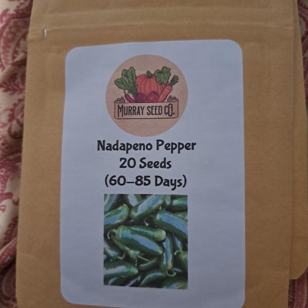 Tromboncino (zucchini Rampicante) Squash Seeds | Heirloom | Organic - Etsy