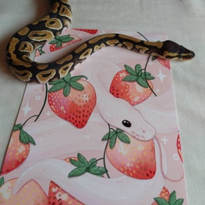 Leopard Gecko Fruit Flavored Milk Stickers Reptile | Etsy