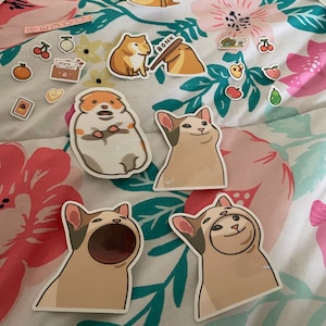 Pop Cat Stickers - Etsy