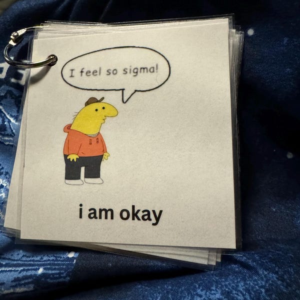 Custom Themed Set of Communication Cards (AAC, Nonverbal Aid, Autism ...