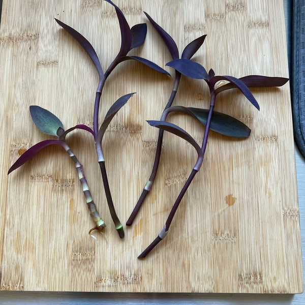 Ultimate Book Club Bundle, 8 Printable PDF Download, Book Log ...