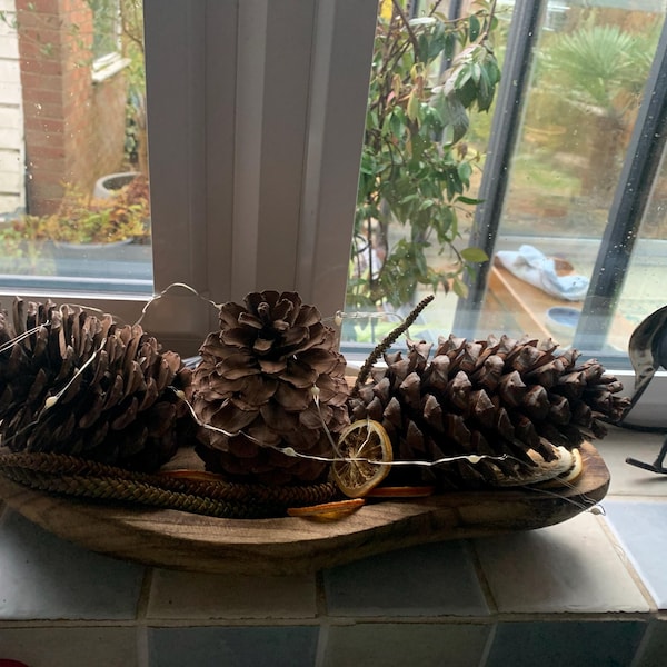 Extra Large Natural Pine Cone | Christmas Display | Maritima Pine Cone | 16-17cm | Giant Pine ...